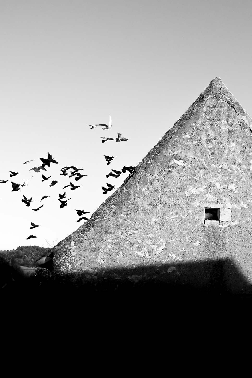 Dominique Philippe Bonnet – Visual Poetry Journal – Photography Journal